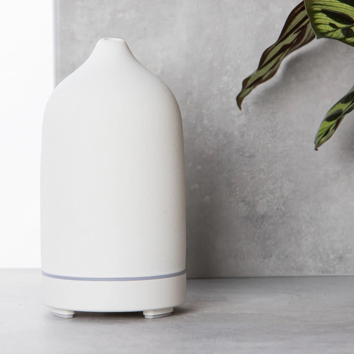 Alta Ceramic Diffuser – Kiss With Style Melbourne